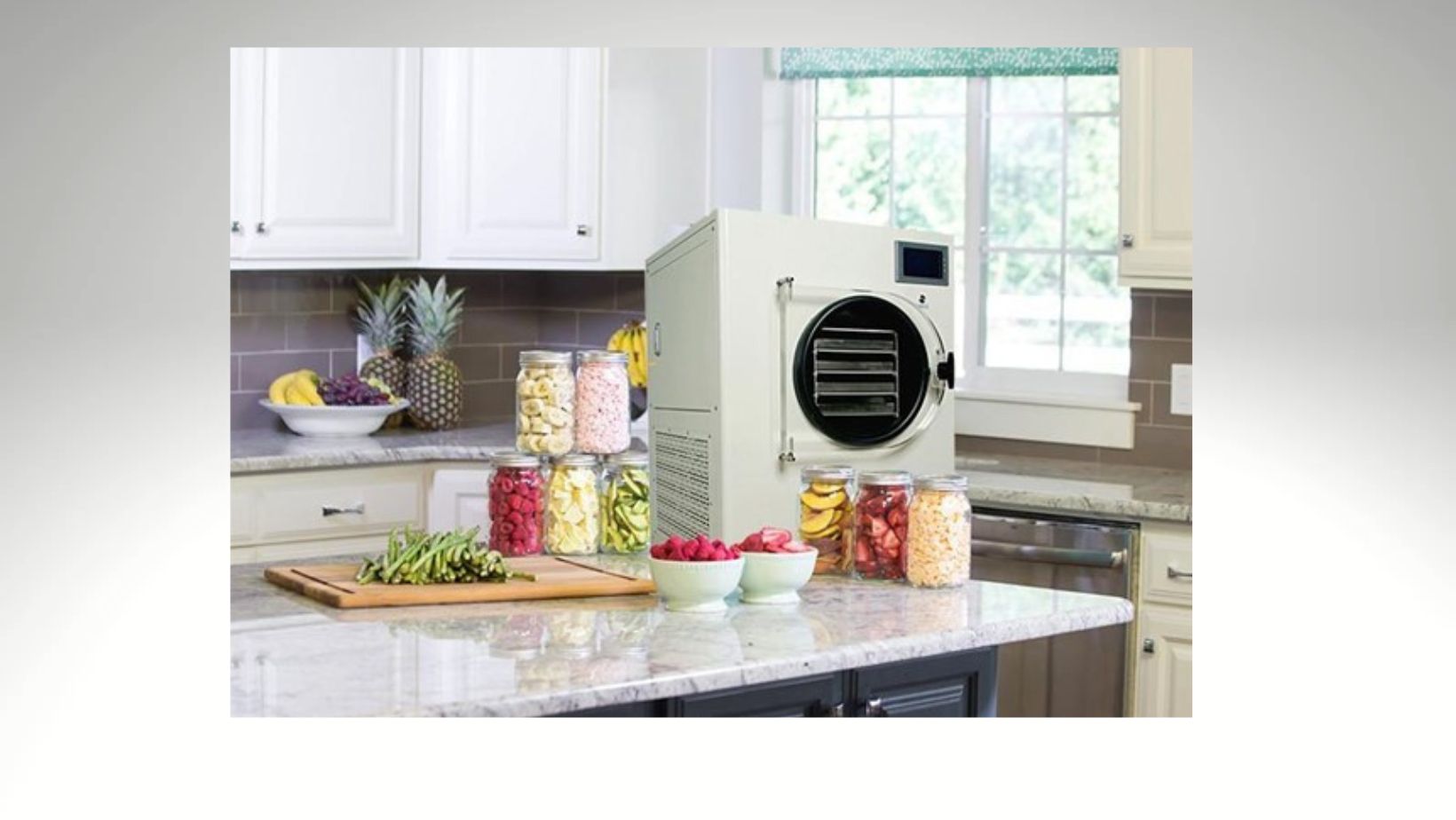 Small Freeze Dryer - AV Star News